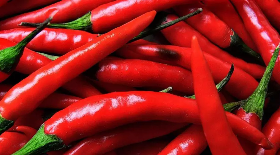 Lada Tidak, setengah langkah tidak cukup di sini: anda mesti makan lada panas merah. Cili, jalapenos, lada cayenne, dan makanan serupa mengandungi capsaicin. Sebatian ini mempercepat peredaran darah di dalam badan, dan oleh itu metabolisme menjadi lebih cepat.