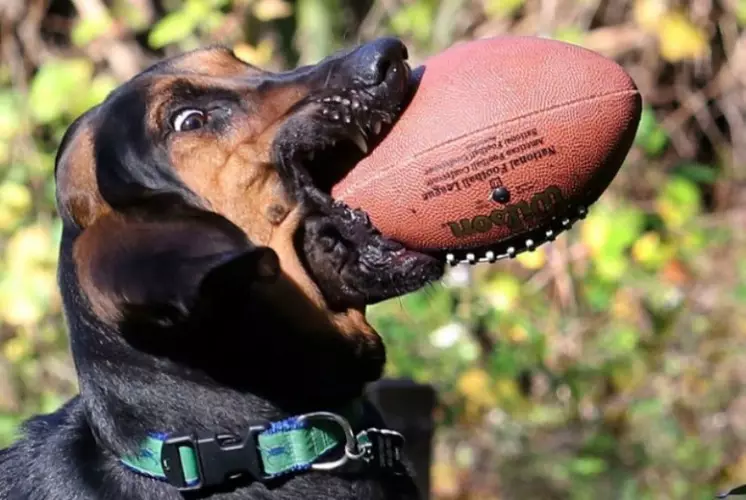 Loosst eis mam Ball spillen, soten si. Et wäert lëschteg sinn, soten si