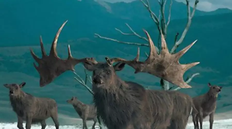 Irish Elk Sebenarnya, bukan seekor rusa, tetapi seekor rusa sebenar - hanya nama pertama yang sudah tersekat. Seekor haiwan yang mati semasa Zaman Es dapat dibangkitkan dalam waktu terdekat, kerana terdapat banyak sampel DNA.