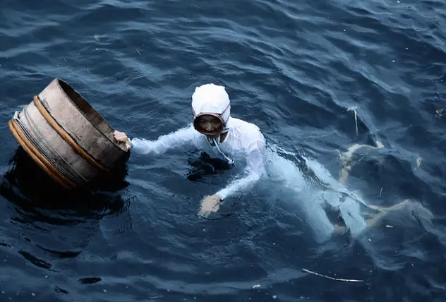 Mergulho Ama Japão O mergulho Ama é uma antiga tradição japonesa que envolve a captura de peixes e outras criaturas marinhas sem o uso de qualquer equipamento de respiração. Ama nadar é perigoso. Além disso, a tradição exige que apenas mulheres sejam nadadoras. Evidências arqueológicas mostram que o mergulho ama é praticado no Japão, principalmente na Península de Shima, desde os tempos pré-históricos. A prática está desaparecendo à medida que o boom econômico simplesmente permite que as mulheres encontrem empregos melhores.