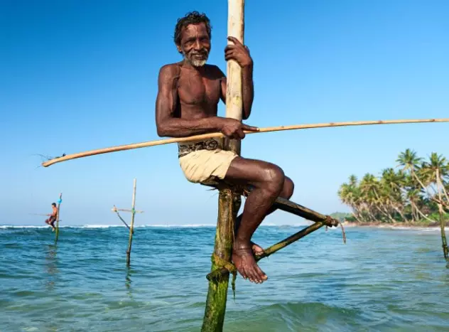 Stilt fishing Sri Lanka Iki minangka tradhisi sing isih enom. Warga lokal wiwit nindakake praktik nelayan kasebut sajrone Perang Dunia kaping pindho. Banjur wong-wong Sri Lanka nggunakake reruntuhan pesawat lan kapal kanggo nyekel iwak. Para nelayan lungguh ing tumpukan khusus, supaya bisa entuk luwih akeh nyekel. Sayange, tsunami taun 2004 ngowahi garis pantai lan saiki tradhisi wis sekarat - mula dadi ora trep kanggo dicekel.