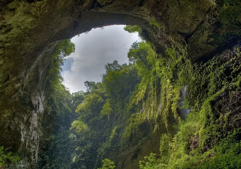 À certains endroits, le plafond de la grotte s'est effondré. À travers ces trous, la lumière pénètre dans la grotte, grâce à laquelle s'est développée une véritable jungle, dans laquelle vivent des singes, des oiseaux et des insectes.