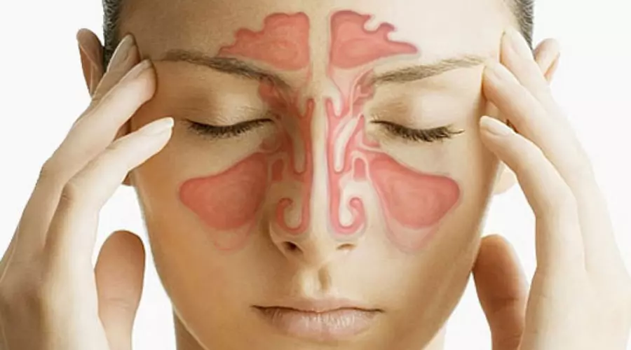 Paranasal Sinuses វេជ្ជបណ្ឌិតជឿថាប្រហោងឆ្អឹង paranasal អាចដើរតួជាសំលេងរំញ័រដែលជះឥទ្ធិពលដល់ការបង្កើតសំលេងរបស់យើង។ លើសពីនេះពួកវាក៏តំណាងឱ្យប្រភេទការពារប្រឆាំងនឹងការប៉ះទង្គិចក្នុងកំឡុងពេលមានផលប៉ះពាល់