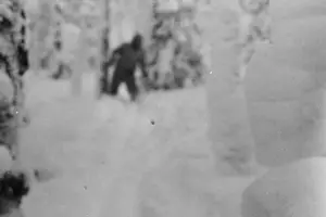 Ógnvekjandi uppgötvun dulmálsfræðinga: Bigfoot er til