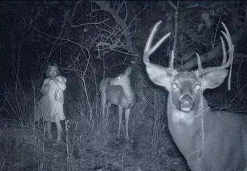 Aber das ist schon richtig gruselig. Was macht das Mädchen nachts im Wald?