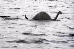 Monster Loch Ness bakal dipendakan ku DNA