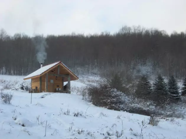 Cabin any anaty ala: mijery trano naorina lavitra ny sivilizasiôna