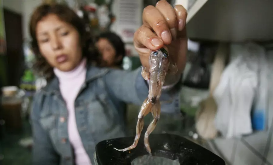 Ny sahona tsy misy hoditra dia iray amin'ireo akora amin'ny zava-pisotro nentim-paharazana natao tany Peroa, ohatra, ao amin'ny tsena any San Juan de Lurigancho, Lima.