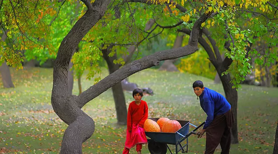 भाषा और संस्कृति लोग अपनी बुरुशास्की भाषा बोलते हैं और इस्माइलवाद का अभ्यास करते हैं, जो इस्लाम का सबसे रहस्यमय रूप है। दिलचस्प बात यह है कि इस्माइली धार्मिक सिद्धांत असीमित स्वतंत्र इच्छा की अवधारणा की विशेषता है: ऐसा धर्म वास्तव में उन लोगों के लिए उपयुक्त है जो पूरी दुनिया से अलग रहने का फैसला करते हैं।