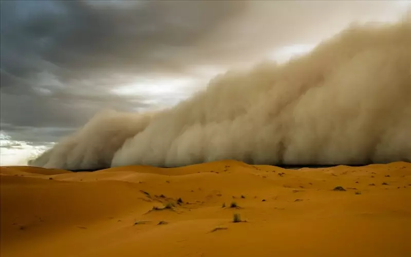 Kuum kõrbetuul Peamised piirkonnad, kust tolmutormid pärinevad, on Aafrikas. Sahara lõunaosast kannavad tuuled liivapilvi üle Guinea ranniku merre, mis on saanud Pimeduse mere poeetilise nime. Ida -Aafrikas pärineb samum Sudaanist Punase mere kallastele.