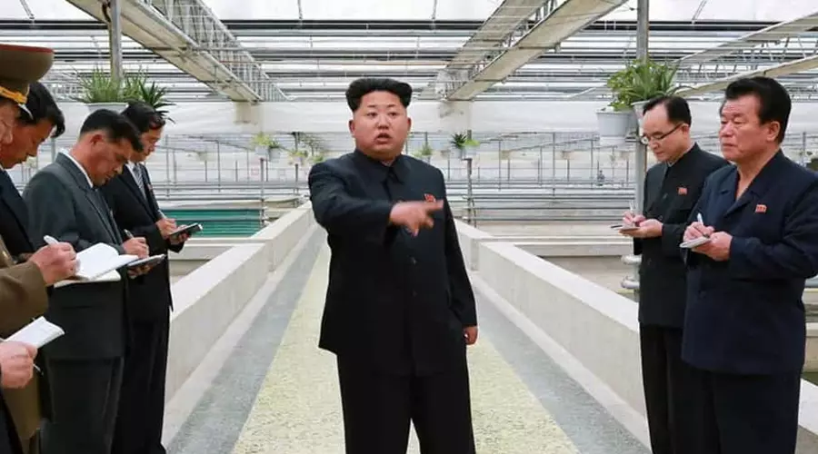 Incapacité d'élever des homards Heureusement, seulement à l'échelle industrielle. Début 2015, Kim Jong-un a décidé de faire un tour dans une ferme de tortues - pourquoi les gens ont-ils même besoin d'une ferme de tortues ? Lors de l'inspection, le leader nord-coréen a demandé aux biologistes s'ils souhaitaient élever des homards avec les tortues en même temps. Les employés stupéfaits de l'entreprise ont été accusés d'incompétence, le chef a été exécuté.