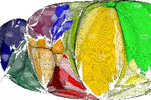 7 mapas que permitem que você veja o mundo de maneira diferente