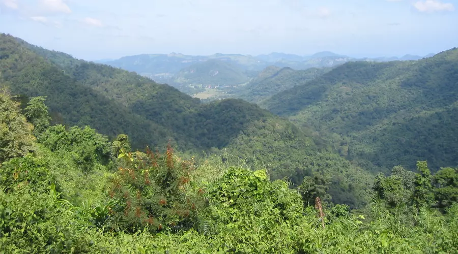 မြောက်ပိုင်း Woodland Myanmar အရှေ့ဘက်ဟိမဝန္တာအရှေ့ဘက်မတ်စောက်သောတောင်စောင်းများပေါ်တွင်တည်ရှိသောအပူပိုင်းဒေသသစ်တောအများစုသည်လူသားများ (အဖတ် - အဖျက်သဘောဆောင်သော) လုပ်ဆောင်မှုမှမထိဘဲကျန်ရှိနေသည်။ ကချင်ဒေသ၏သစ်တောများအတွင်း၌နက်ရှိုင်းစွာဝှက်ထားသောကမ္ဘာသည်ကျားကောင်ရေအများဆုံးဖြစ်သည်။ ၎င်းသည်ဝက်ဝံ၊ ပန်ဒါနီနှင့်ရှားပါးမျောက်ဝံမျိုးစိတ်များလည်းရှိသည်။