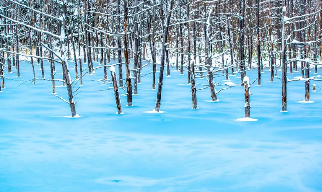 Blue Pond Hokkaido, Japão A ilha japonesa de Hokkaido parece um pôster real da parede do quarto de uma criança que ficou fascinada com a beleza do mundo desde a infância. Vulcões, parques nacionais virgens e, claro, lagos - o mais famoso deles é o famoso Lago Azul.