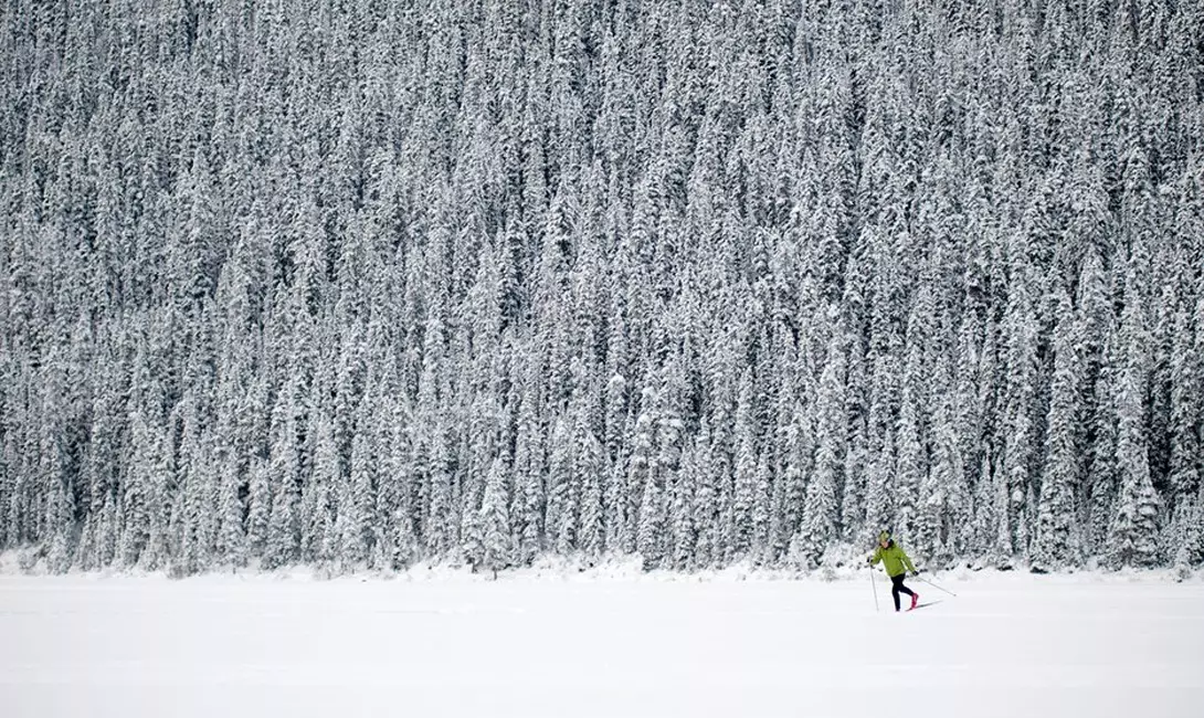 Lake Louise Canadá Como a maioria dos outros corpos d'água glaciais, o Lago Louise é cercado por montanhas escarpadas. Suas águas são limpas e límpidas, mas no inverno o lago se transforma em uma enorme pista de gelo: centenas de milhares de pessoas visitam o local todos os anos para esquiar, patinar no gelo e até organizar competições de trenós puxados por cães.