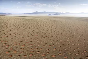 Witch's rings: where the circles in the Namib desert come from