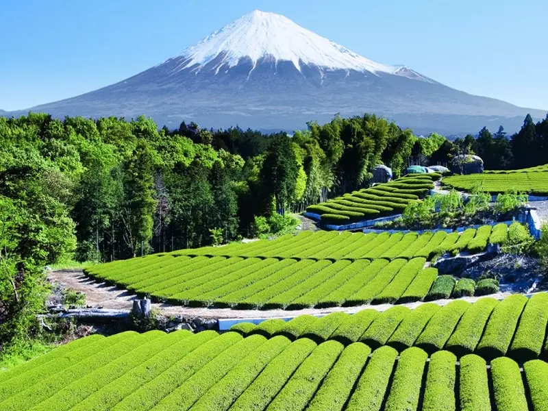 Fuji-Hakone-Izu, an tSeapáin Ceantar: 1227 km² Tá an pháirc suite sa chuid lárnach d’oileán Honshu. Cuimsíonn an pháirc cúig loch Fuji a bhfuil cáil dhomhanda orthu. I measc na nithe nádúrtha eile sa pháirc tá Mount Fuji, easanna, lochanna sléibhe, spriongaí te agus oileáin bholcánacha. Leagtar bóthar aonráille tríd an bpáirc, as ar féidir leat príomh-áilleacht na páirce a fheiceáil. Is féidir le hikers an pháirc a iniúchadh ar an mbealach is fearr leo.