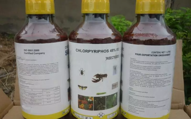 Chlorpyrifos Keçmişdə yayılmış, zərərvericiləri öldürmək üçün istifadə edilən orqanofosfat pestisidlər qrupuna aid bir kimyəvi maddə. Chlorpyrifos hazırda quşlar və şirin su balıqları üçün çox zəhərli və məməlilər üçün orta dərəcədə zəhərli kimi təsnif edilir. Buna baxmayaraq, hələ də qeyri-ərzaq bitkilərinin becərilməsində və ağac məhsullarının emalı üçün geniş istifadə olunur.