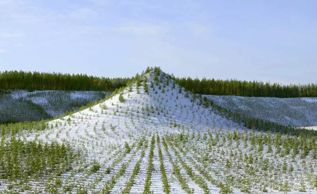 芬兰 Ylöjärvi Treeline Mountain 这座山上覆盖着一排排略微弯曲的树木，上面覆盖着密密麻麻的森林，是人工种植的。 11,000 棵树形成了独特的图案，让人联想到古代德鲁伊和现代景观设计师。