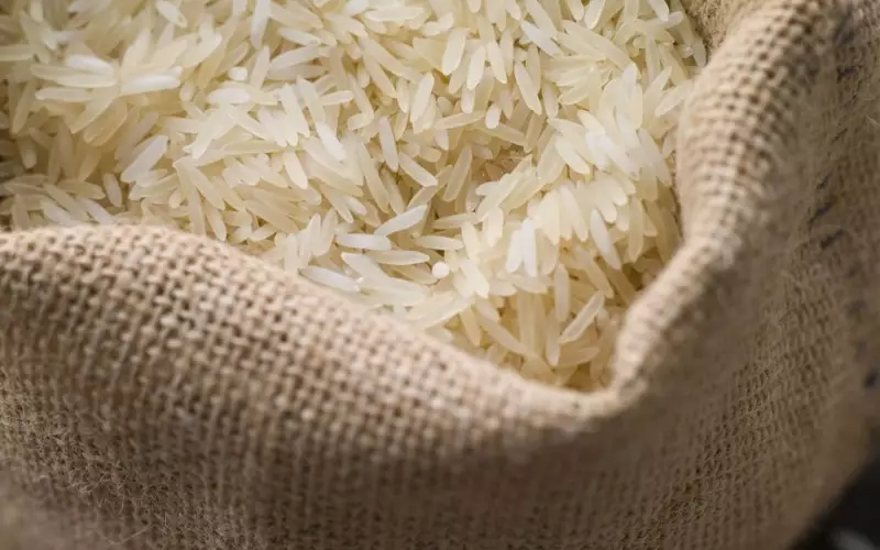 Arroz branco Unha bolsa de arroz pode estar cuberta con po secular, pero os grans dentro del conservarán o seu valor nutritivo para sempre. Non obstante, esta afirmación só se aplica ao arroz branco. O arroz integral ten unha vida útil moi limitada debido á súa cuncha oleosa.