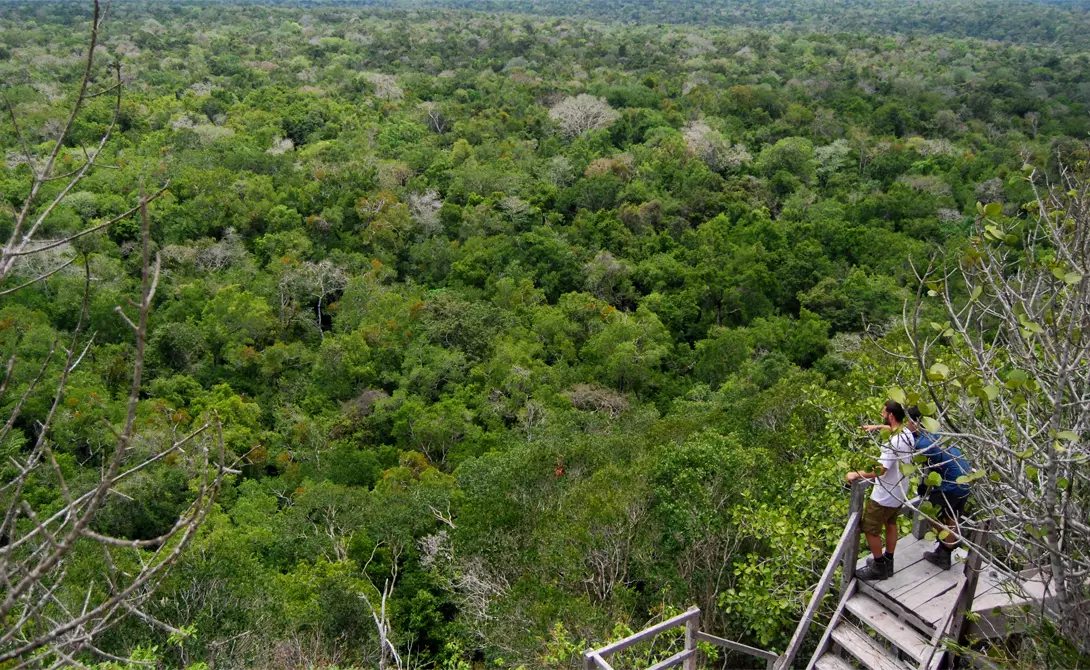 IMirador Guatemala Wonke umuntu uzwile ngeMeru Picchu yasePeru - kepha bambalwa abaziyo ngeMirador, idolobha lasendulo ekujuleni kweGuatemala. Kwakukhona futhi impucuko yamaMaya angaphambi kwezikhathi zakudala futhi idolobha ligcwele izikhumbuzo eziyinqaba zokwakha, ezesabekayo ngokuhlaba umxhwele kwazo.