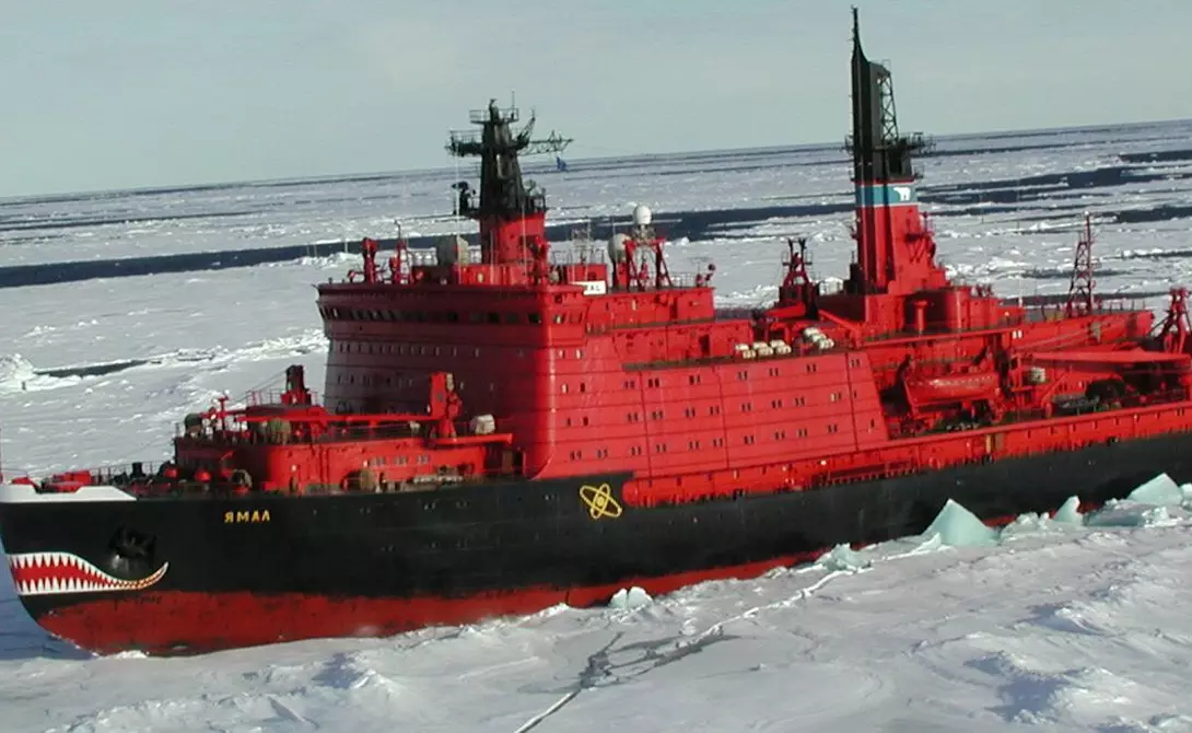 Icebreaker a Yamal diferan de tokay li yo nan flòt la atomik ak yon souri reken pentire sou nen li yo. Li te parèt lè, nan 1994, yon icebreaker, kòm yon pati nan youn nan pwogram entènasyonal imanitè yo, te pran timoun yo nan Pòl Nò - fason sa a bato a sanble plis plezi. Li te planifye ke apre vwayaj sa a souri a ta dwe pentire sou, men nan fen a desizyon sa a te abandone, ak bouch reken a te vin trademark nan batiman an.