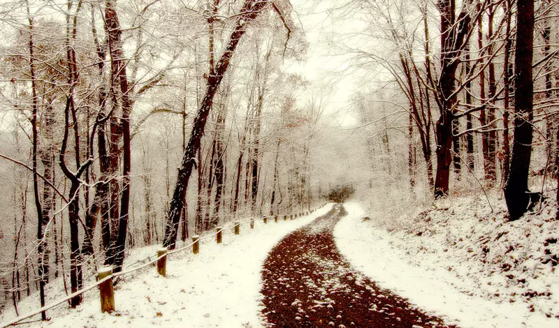 Ag siúl sa sneachta I ndáiríre, ní gá fanacht le titim sneachta. Ach tá sé tábhachtach troid i gcoinne an mhian leanúnach dul i bhfolach i do uaimh, barróg a dhéanamh den cheangaltán is fearr leat agus gan duine ar bith a fheiceáil go dtí an samhradh an-mhaith. Ina n-aonar, léimeann an leibhéal struis go dtí na leibhéil uasta. Tá an cás casta mar gheall ar an leibhéal íseal ocsaigine - cá as a dtagann sé in “uaimh” atá clogged go hiomlán.