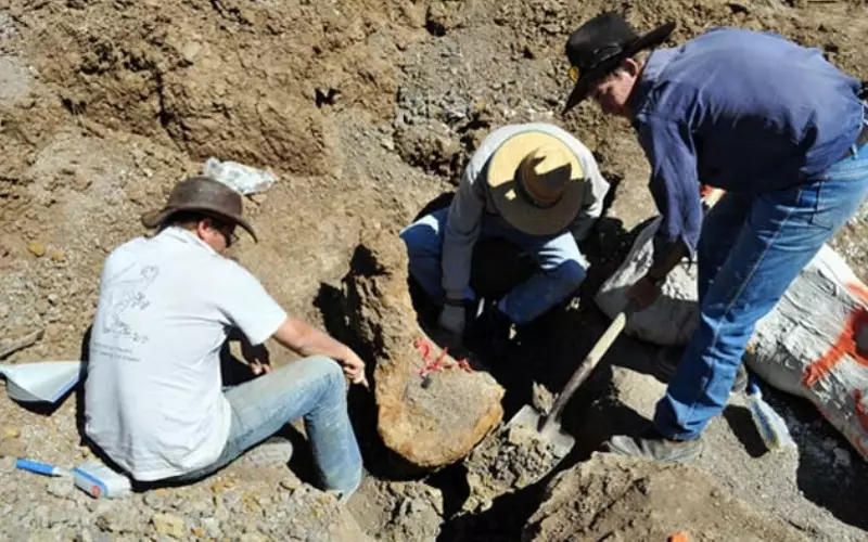 नेपोलियन को खजाना कहाँ हेर्ने: Zhernovka को गाउँ, Kasplya ताल, Svaditskoe, Velisto; लेक Mutnoe Smolensk क्षेत्र को Demidov जिल्ला मा, लेक Semlevskoe मास्को छोडेर, नेपोलियन उनी संग सुन, बहुमूल्य चीजहरु र प्राचीन हतियार को एक संग्रह संग धेरै गाडिहरु लिए। विभिन्न अभिलेखीय तथ्या्क अनुसार कुल मा उनले लगभग १ p पाउण्ड सुन, ३२५ पाउण्ड चाँदी र अनगिन्ती अन्य बहुमूल्य चीजहरु निकाले। तर, उनले तोकिएको ठाउँमा कहिल्यै ट्रफी ल्याएनन्। रूसी सेना द्वारा आवधिक आक्रमण र नजिकैको चिसो मौसम फ्रान्सेली सेना को आन्दोलन को गति बढाउन को लागी लुटिएको सामान फ्याँक्न शुरू गर्न बाध्य भयो। बाटोमा, बहुमूल्य सामान जमीन मा गाडिएको थियो र नजिकैको तालहरुमा बाढी। इतिहासकारहरूले सुझाव दिएका छन् कि नेपोलियनले कम्तीमा बेरेजिना नदीमा गाडीहरु तान्न जारी राखे। यस्तो पहिलो खजाना नारा नदी नजिकै भेटिएको थियो।