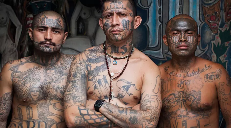 MS13 MS13, bibẹẹkọ ti a mọ ni Mara Salvatrucha, jẹ onijagidijagan ti ndagba ni iyara lati El Salvador. Nibi, kii ṣe awọn alagbaṣe nikan, ṣugbọn awọn ọmọ ẹgbẹ ti nṣiṣe lọwọ gbọdọ jẹrisi igbẹhin wọn nigbagbogbo si awọn ibi -afẹde ẹgbẹ pẹlu awọn ipaniyan.