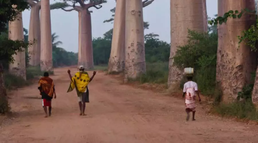 Madagascar Tun watan Janairun 2009, Madagascar ke fama da rikice -rikicen cin hanci da rashawa a manyan fannonin gwamnati. A sakamakon haka, martabar duk ƙasar ta sha wahala: 'yan sanda ba sa jimre da ayyukansu, yawan fashi na masu yawon buɗe ido har ma da kisan kai yana ƙaruwa a nan.