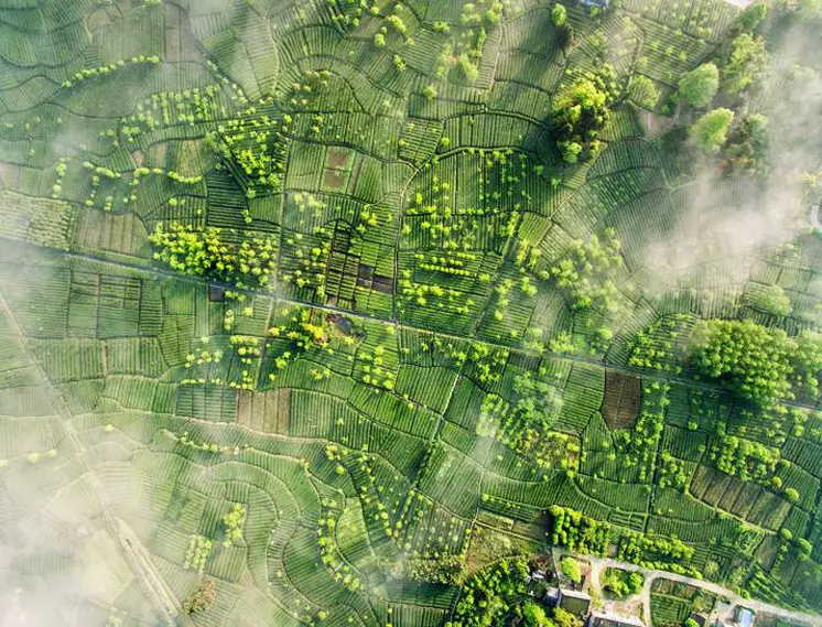 Mingshan, Ya'an, parêzgeha Sichuan, Chinaîn