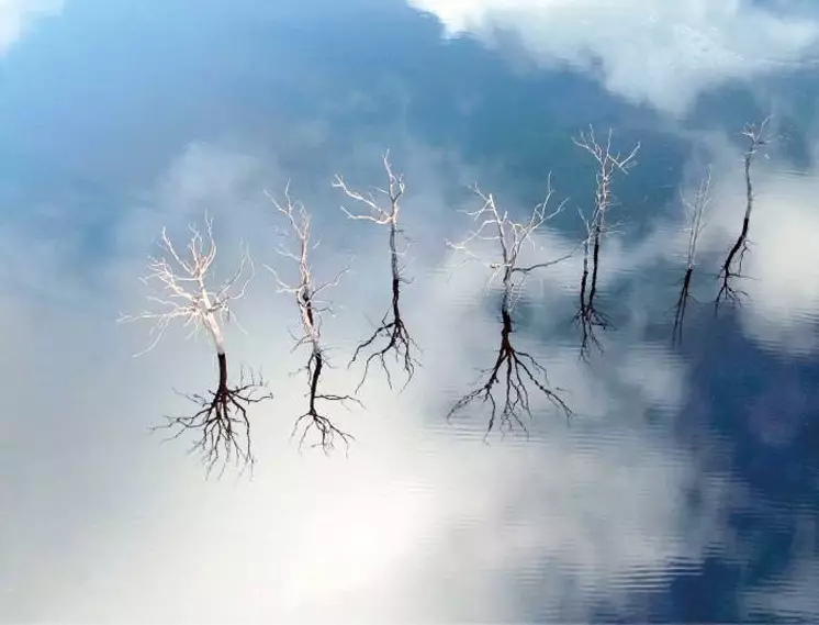 A presa do lago Saint-Gelvain foi destruída e a auga retrocede, revelando árbores e casas previamente inundadas