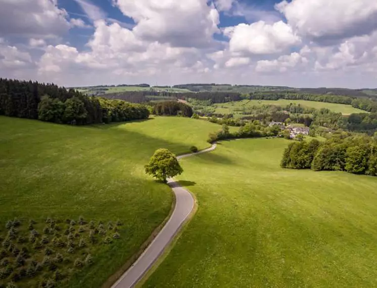 Sauerland kasabasında yeşil ağaçlar, Batı Almanya