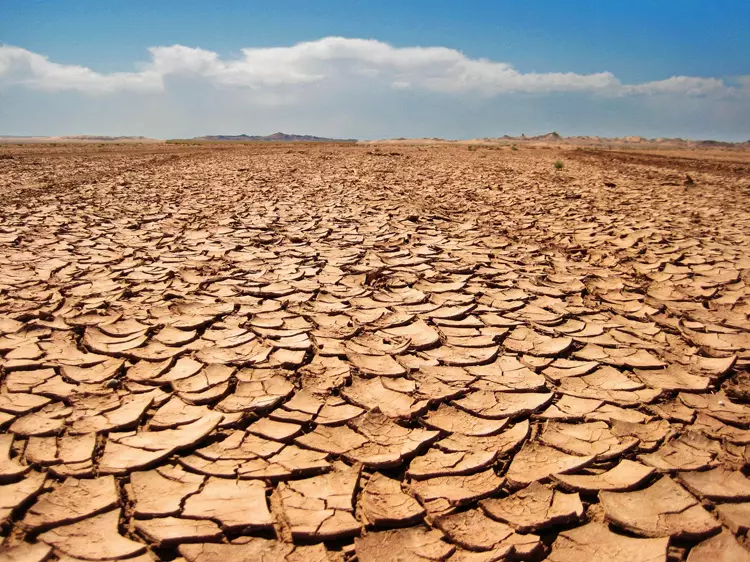 Preživljavanje bez vode Maksimalno trajanje boravka osobe bez vode uvelike ovisi o temperaturi okoline i tjelesnoj aktivnosti. U stanju mirovanja u hladu na temperaturi od 16 - 23 ° C, osoba ne može piti 10 dana, pri temperaturi zraka od 26 ° C to se razdoblje smanjuje na 9 dana. Nakon potresa u Mexico Cityju 1985., pod ruševinama zgrade, spasioci su pronašli živog 9-godišnjeg dječaka koji 13 dana nije jeo i pio.