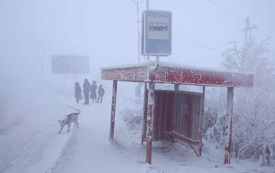 Bir sıra işarələrə görə, Oymyakon Vadisi planetin həyat üçün ən sərt yerlərindən biridir, buna baxmayaraq təxminən yarım min nəfərlik daimi əhalisi hələ də yaşayır.