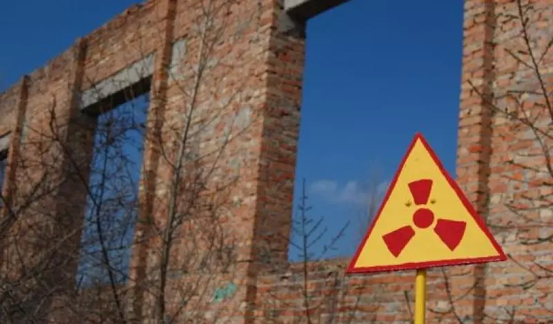 Etid la Greenpeace klèman montre lemonn antye lonbraj la nwa nan dezas la nan plant la fòs nikleyè Chernobyl. Risk pou yo itilize reyaktè nikleyè kòm yon sous enèji se trè wo ak moun, omwen pa ankò, se pa ankò kapab sispann li.