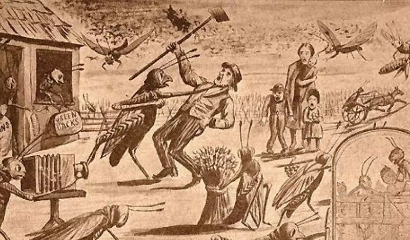 Año de la langosta La primavera seca de 1874 fue muy favorable para la langosta, que puso billones de huevos en la pradera de las Montañas Rocosas. En el verano, toda esta horda eclosionó y destruyó todo lo que crecía en Nebraska, Kansas, Dakota e Iowa.