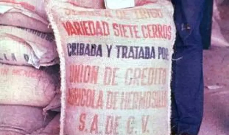 Envenenamiento en Basora En 1971, el puerto iraquí de Basora recibió un enorme cargamento de grano envenenado. Los rebeldes locales, sin saberlo, tomaron el barco de la batalla y distribuyeron todo el grano entre la población. Más de 6.500 personas enfermaron por intoxicación por mercurio, muchas quedaron ciegas de forma permanente.