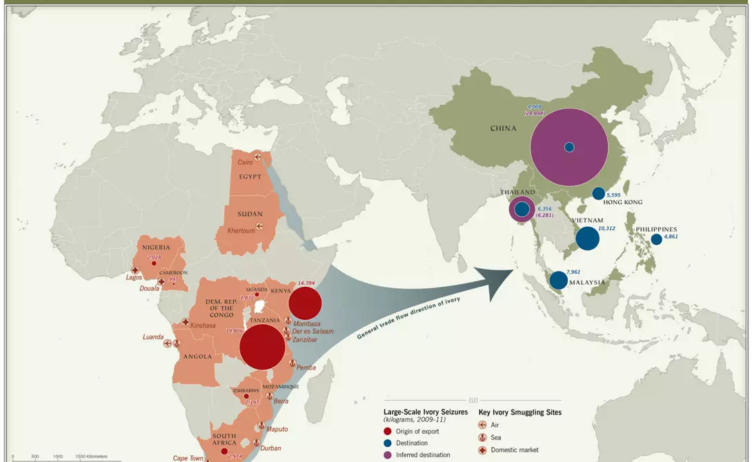 Ivory smuggling, 2013