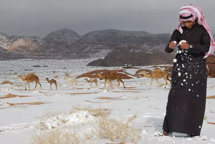 Arab Saudi Sekitar 2 minggu yang lalu, badai salju melanda bagian barat laut Arab Saudi. Suhu udara turun menjadi 0 ° C, dan di tengah gurun Arab dimungkinkan untuk bermain bola salju.