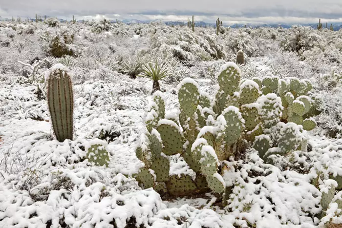 Atacama Di tempat terkering di Bumi - Gurun Atacama - salju turun pada tahun 2013. Ini bukan pertama kalinya dalam beberapa tahun terakhir salju terlihat di gurun, tetapi menurut penduduk komune San Pedro de Atacama, hujan salju ini adalah yang terkuat dalam 30 tahun terakhir.