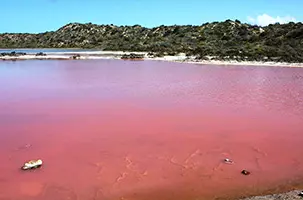 Danau paling tidak biasa di planet ini