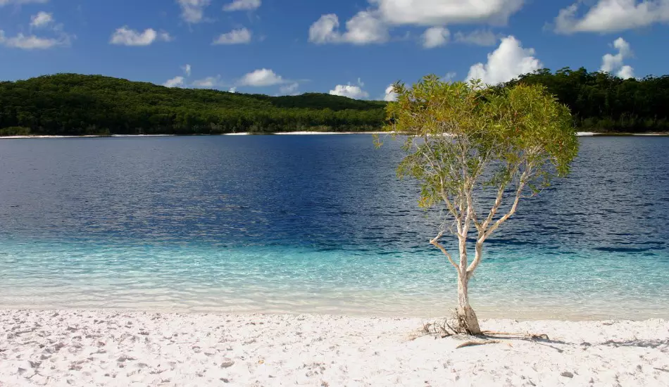 Lago Mackenzie, Australia Difícilmente se puede encontrar un cuerpo de agua más ideal que el lago Mackenzie en la Tierra. La arena blanca a lo largo de sus orillas es 100% silicona, que se utiliza en muchos productos de perfumería y tiene un efecto positivo en el estado del cabello, la piel y las uñas. La única fuente de agua perfectamente limpia y clara en el lago es la lluvia, cuya acidez es incompatible con cualquier organismo vivo excepto con tu cuerpo relajante.