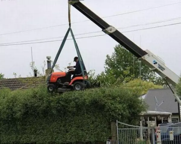 Bushes tatau ona tutusa tutusa. Laʻau? Ia, o le a la le mea. Mea uma e tatau ona tutusa tutusa!