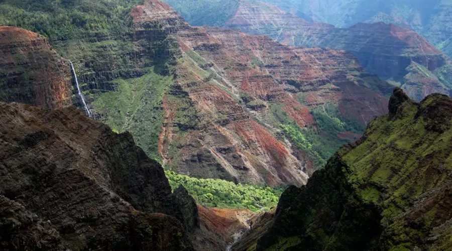 Wana mbebayani Alas alas Hawaii ora dianggep mbebayani dening turis. Penggemar rekreasi luar ruangan sing nyaman teka ing kene, sing asring tumindak santai banget. Dr Steven Reisberg nggawa garwane sing enom menyang Hawaii lan nuduhake keindahan lokal, ora nggatekake peringatan babagan bebaya satwa sing sejatine. Ora ana sing nate ndeleng pasangan iki maneh, lan investigasi sing diwiwiti nggawe informasi babagan puluhan kasus sing padha: saben taun turis ilang ing pulau kasebut lan polisi ora bisa nemokake malah mayat.