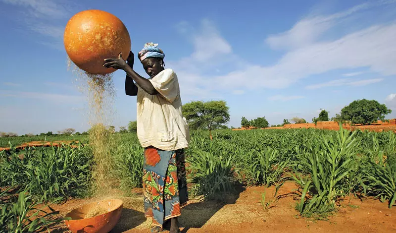 Nigeria Hizkuntza kopurua: 526 Nigeriak ingelesa aukeratu zuen hizkuntza ofizial gisa, arrazoiz iritzita, edozein egoeratan bertakoentzat erabilgarria izango dela. Komunikabideek beren eskualdeko dialektoak menderatzen dituzte eta bertako hizkuntza gehienak ikastetxeetan ere irakasten dira. Guztira, 526 hizkuntza daude Nigerian, horietatik 514 biztanleek modu aktiboan ustiatzen dituzte.