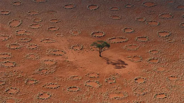 Witch's Rings: Bagaimana Lingkaran Muncul di Gurun Namib