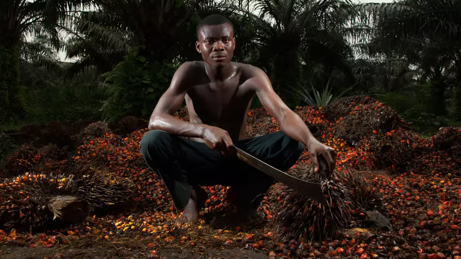 Machete #18: Calabar, Nigeria Hinsha posa tra le palme. La deforestazione in tutto il mondo, a causa dell'aumento della produzione di olio di palma, sta causando enormi danni all'ambiente, ma fornisce ancora posti di lavoro e una fonte di reddito alla popolazione locale.