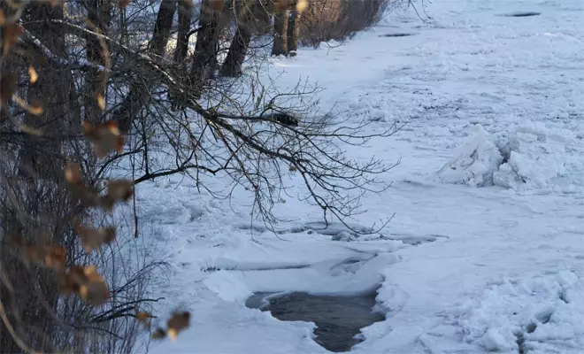 Sopravvissuta per un'ora sott'acqua nel freddo inverno del 1986, Michelle Funk, di due anni, ha giocato pacificamente su un ruscello ghiacciato fuori casa sua. Il ghiaccio si è rotto. La ragazza è andata sott'acqua più velocemente di quanto avrebbe potuto dire "madre" - se avesse saputo parlare. Dopo un'ora e mezza il bambino è stato portato fuori. Nessun segno di vita. Il dottore le ha fatto un massaggio cardiaco diretto, che ha riscaldato il sangue e ha fatto funzionare l'organo. Michelle si svegliò, nemmeno il suo cervello era ferito: l'acqua gelata funzionava come una specie di antigelo.