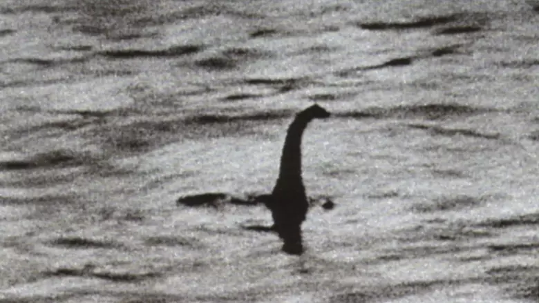 El monstre del llac Ness Durant dècades, aquesta fotografia, feta per un metge el 1934, ha estat la prova principal de l’existència del monstre marí del llac Ness. El seu autor, el cirurgià britànic R. Kenneth Wilson, va afirmar que va veure personalment el terrible cap de la bèstia a l'aigua. Però el 1994, els investigadors van demostrar que la fotografia era només un bon engany. L'enganyador va fixar el cap de la nina en un submarí de joguina i els periodistes del London Daily Mail van agafar alegrement les notícies i van reproduir la imatge a tot el món.